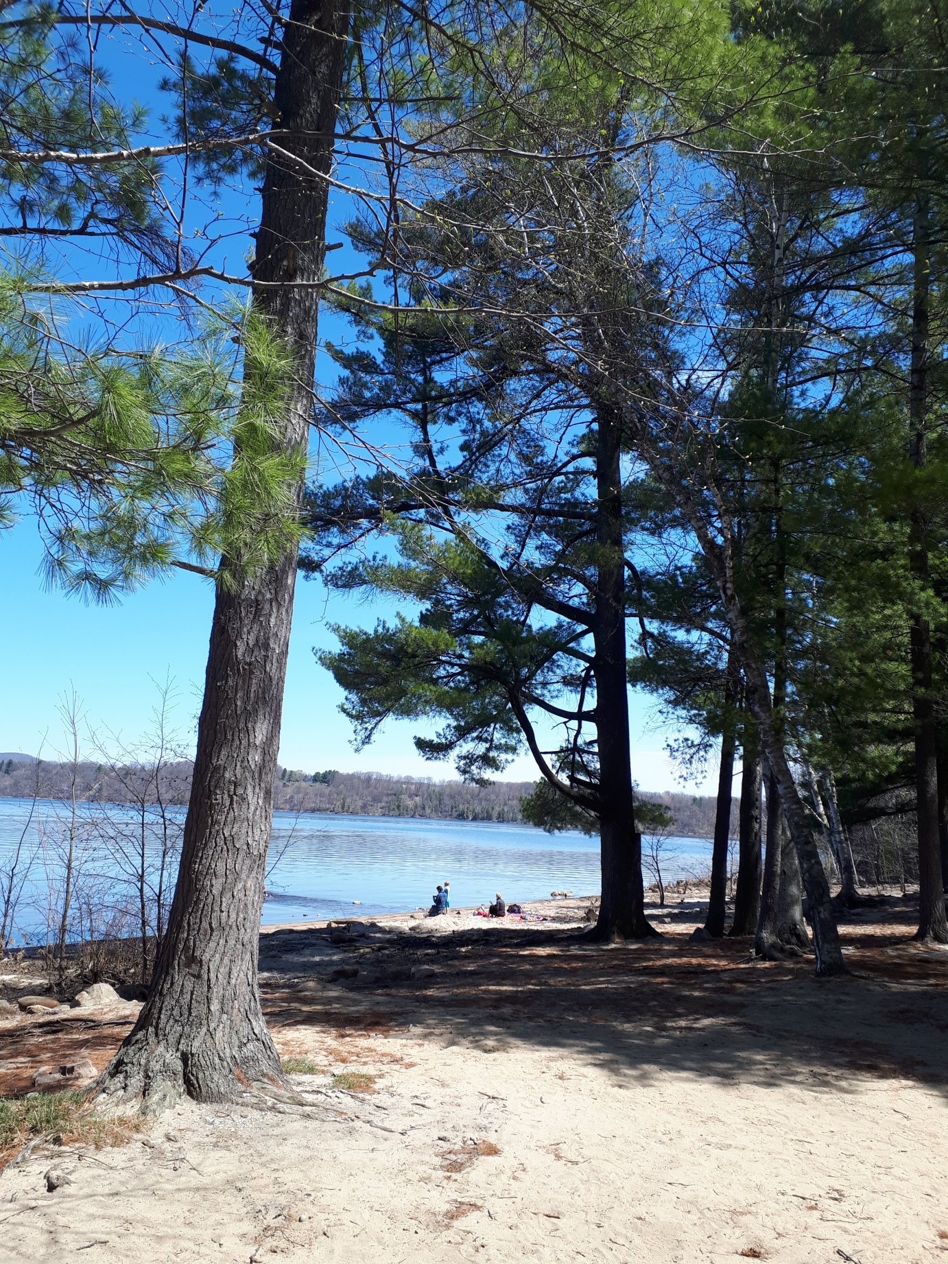 Evaluations versus Observations – Heather Markgraf